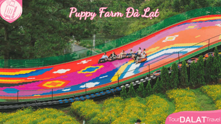 Review Nông Trại Cún Puppy Farm Đà Lạt Mới Nhất 2025